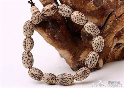 文玩手串108种类图片欣赏之菩提子、果核、牙角骨篇（42种） 每日头条