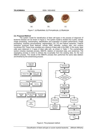 Classification Of Blast Cell Type On Acute Myeloid Leukemia Based On