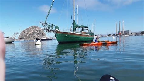 Morro Bay Kayaking Tours — Wildheartcoastaladventures