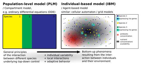 Conceptual Differences Between Population Level Models And