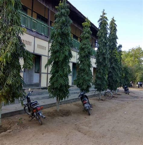 အ ထ က မြစ်ခြေ ကျောင်းသား သူများဆုံဆည်းရာ