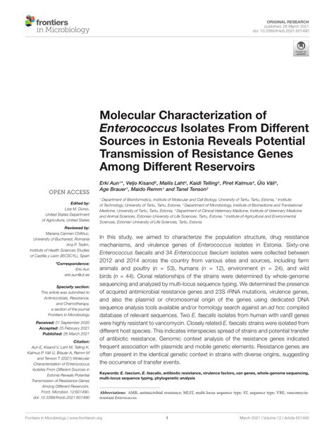 Pdf Molecular Characterization Of Enterococcus Isolates From