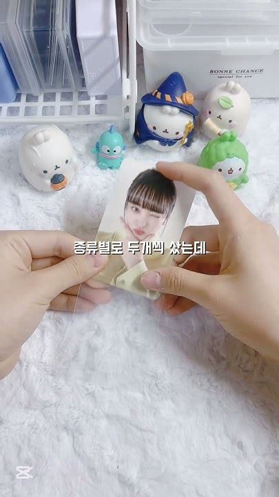 저 먼작귀 포카 샀어요 ㅎ 리이브 하나 줄까 포카포장 아이브 이서 리즈 다이브로그 다이소깡 반택깡 원영 유진 가을 레이 엠파시 앨범깡 통소개