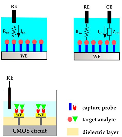 Surface Modified Cmos Biosensors Icbio Lab