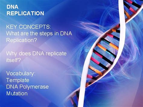 Dna Replication Key Concepts What Are The Steps