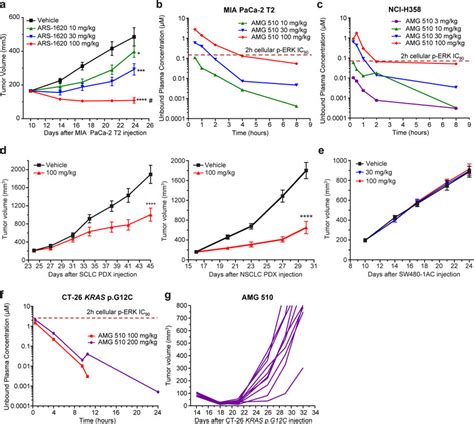Amg 510 Inhibits Tumour Growth Of Patient Derived Xenografts And