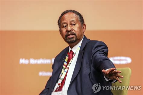 실권 수단 前총리 내전 비화 가능성세계의 악몽 될 것 나무뉴스