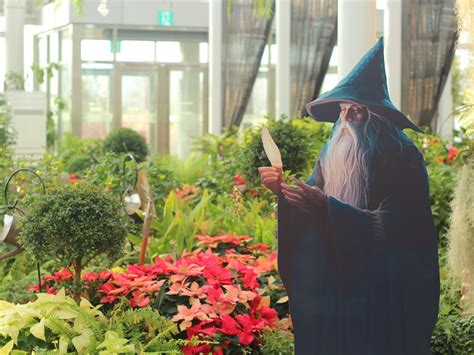 더쿠 국립세종수목원 특별 전시 ＜신비한 마법의 식물사전＞