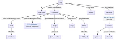 bgee knowledge graph tutorial