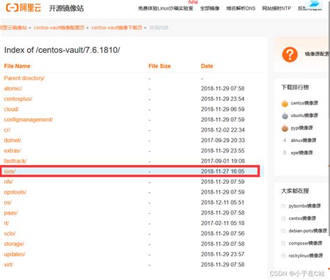 镜像下载（详细教学） 各版本的介绍 centos7 6镜像下载教程 csdn博客