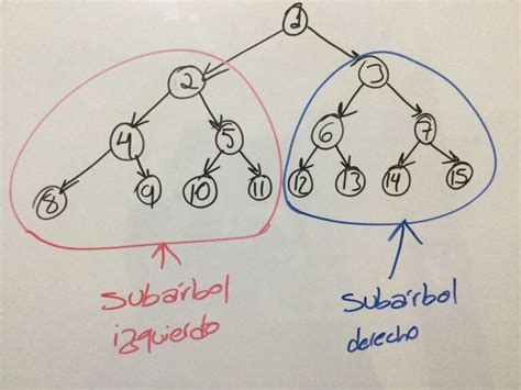 Ejemplos de Árboles en Java Implementación y Uso en Programación