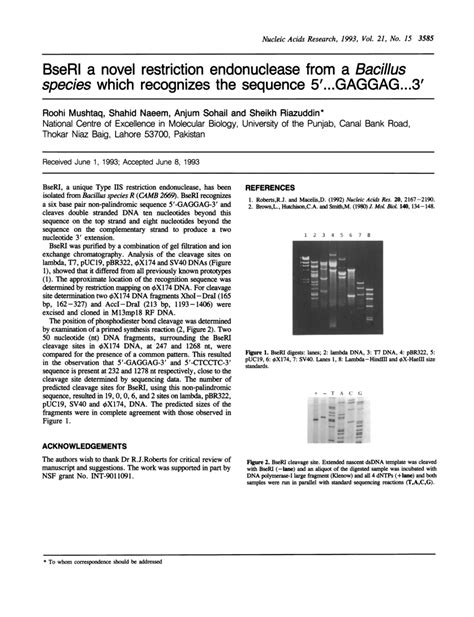 Pdf Bseri A Novel Restriction Endonuclease From A Bacillus Species Which Recognizes The
