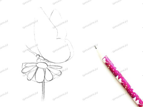 Как нарисовать бабочку поэтапно Фломзики ру