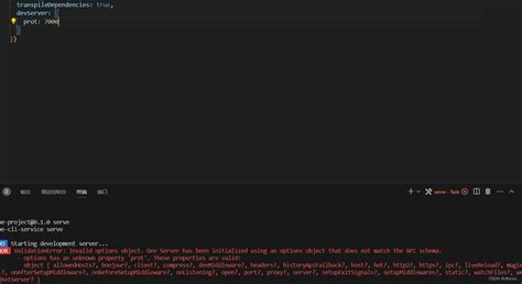Dev Server Has Been Initialized Using An Options Object That Does Not Match The Api Schema
