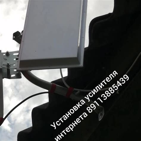 Дедовичи слухи и сплетни Нахамили 2024 ВКонтакте