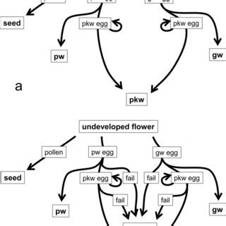PDF Pollinating Fig Wasps Simple Solutions To Complex Sex Ratio Problems A Review