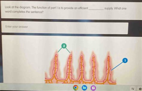 Solved Look At The Diagram The Function Of Part 1 Is To Provide An Efficient Supply What One