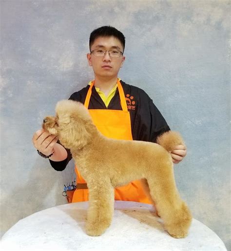 恭喜寵藝224期學員圓滿畢業 每日頭條