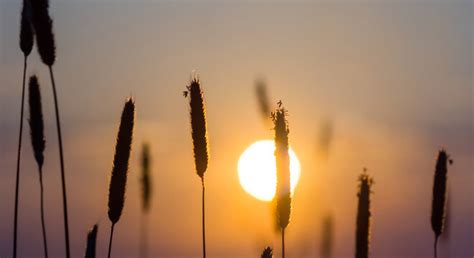 Imágenes De Sten Descubre Bancos De Fotos Ilustraciones Vectores Y