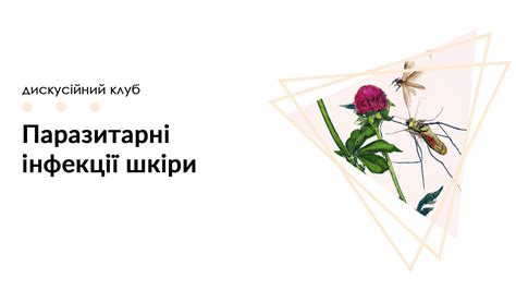 Паразитарні інфекції шкіри