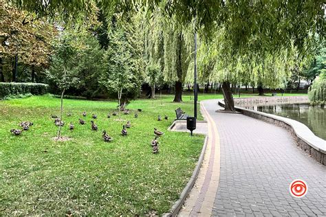 Парк Шевченка зранку фоторепортаж Інформатор Івано Франківськ