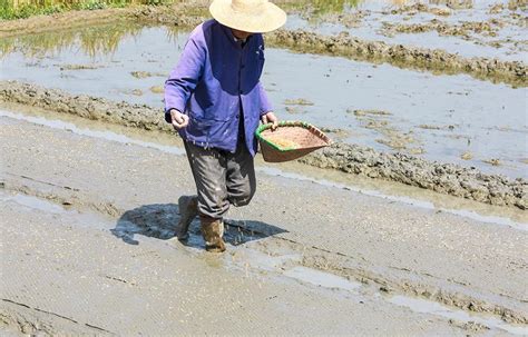 安徽旌德谷雨至 农事忙 皮肤疾病频道 东方养生
