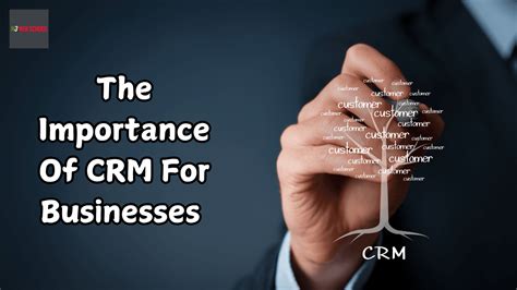 The Importance Of Crm Software For Every Businesses In 2025