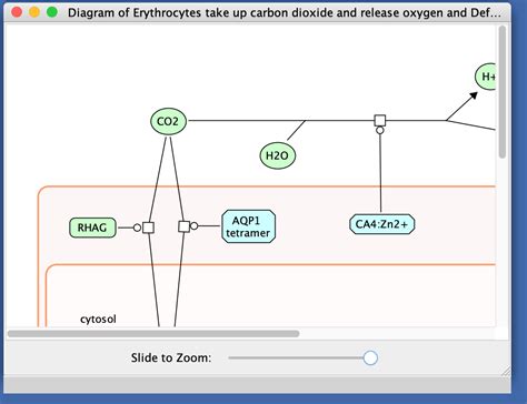 Module 4 Lab Reactomefi Pathway And Network Analysis Of Omics Data