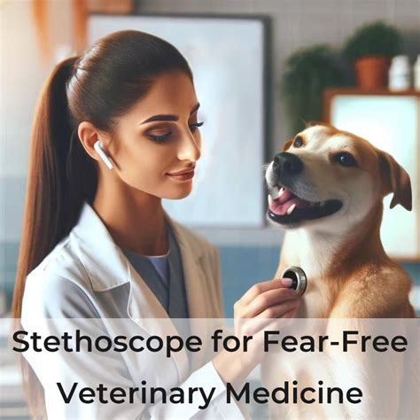 Stemoscope Pro Professional Digital Electronic Bluetooth Stethoscope Fda Cleared