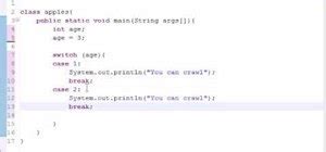How To Use The Switch Statement For Java Programming Java Swing
