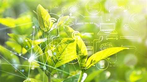 Describing Twins For Biodiversity Use Cases Biodt