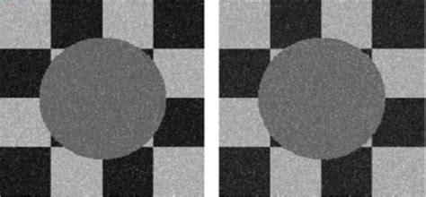 example of rayleigh noise and gamma noise download scientific diagram