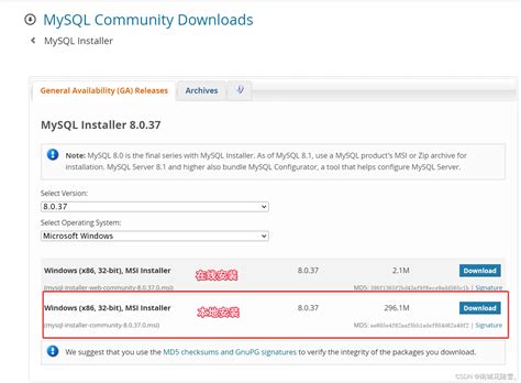 最新版mysql下载安装教程 Csdn博客