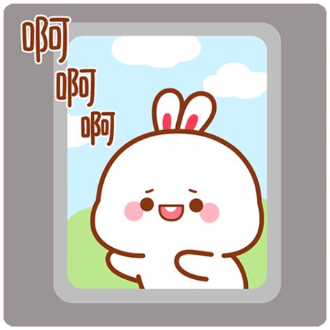 Sticker Maker 兔几全螢幕貼圖