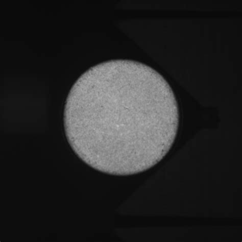 Segmentation Instance Segmentation Dataset By Dank1ng