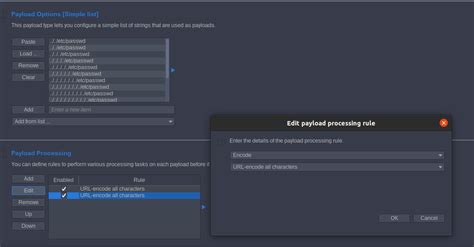 Directory Traversal Vulnerabilities H3x0s3