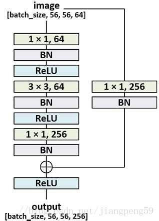 pytorch笔记 resnet网络 解决输入图像大小问题建议收藏 腾讯云开发者社区 腾讯云