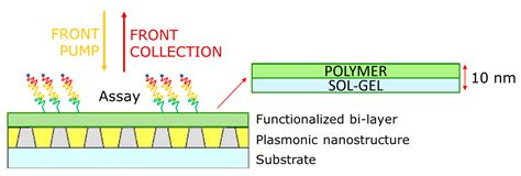 Plasmonic Nanostructure Functionalization For Surface Enhanced Fluorescence Bio Detection