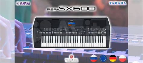 Yamaha PSR-SX600 синтезатор купить в Москве | Хобби и отдых | Авито