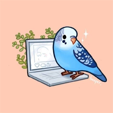 How To Draw A Budgie Bird