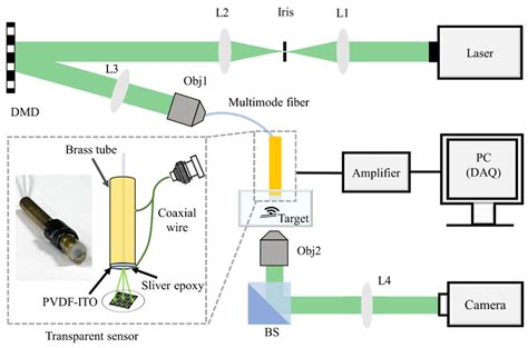Wavefront Shaping Assisted Forward Viewing Photoacoustic Endomicroscopy