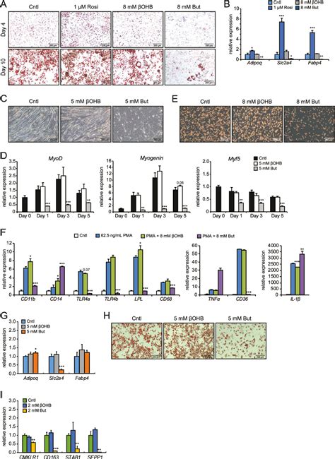Figure 1 From Rna Sequencing Reveals Niche Gene Expression Effects Of