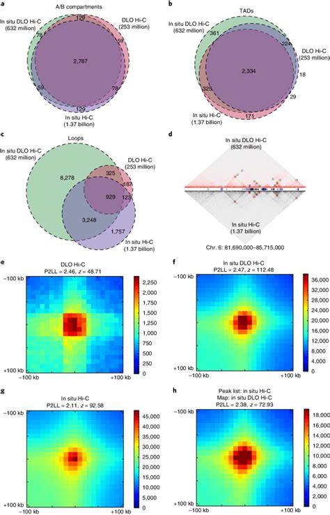 Consistency Of A B Compartments Tads And Chromatin Loops Between Download Scientific