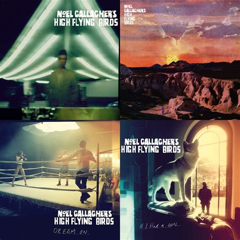 Noel Gallaghers High Flying Birds