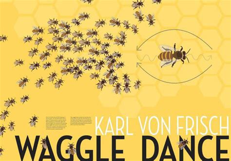 Waggle Dance Poster On Behance