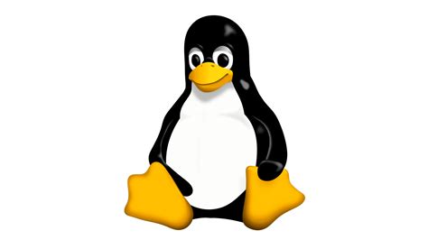 Saving Files In Linux Beyond The Textual Txt