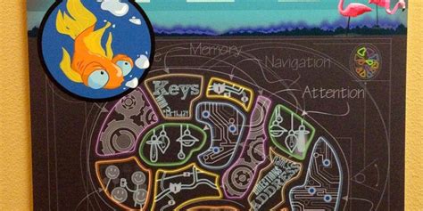 Mastering Memory Techniques For Effective Learning Ingame Education