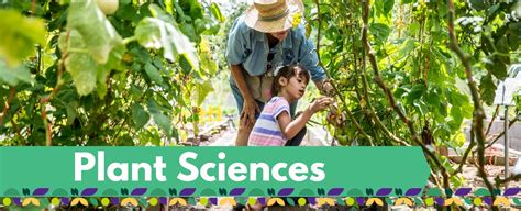 Plant Sciences