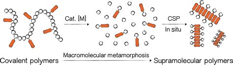 In Situ Supramolecular Polymerization Via Organometallic Catalyzed