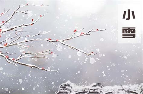 小雪节气养生注意事项